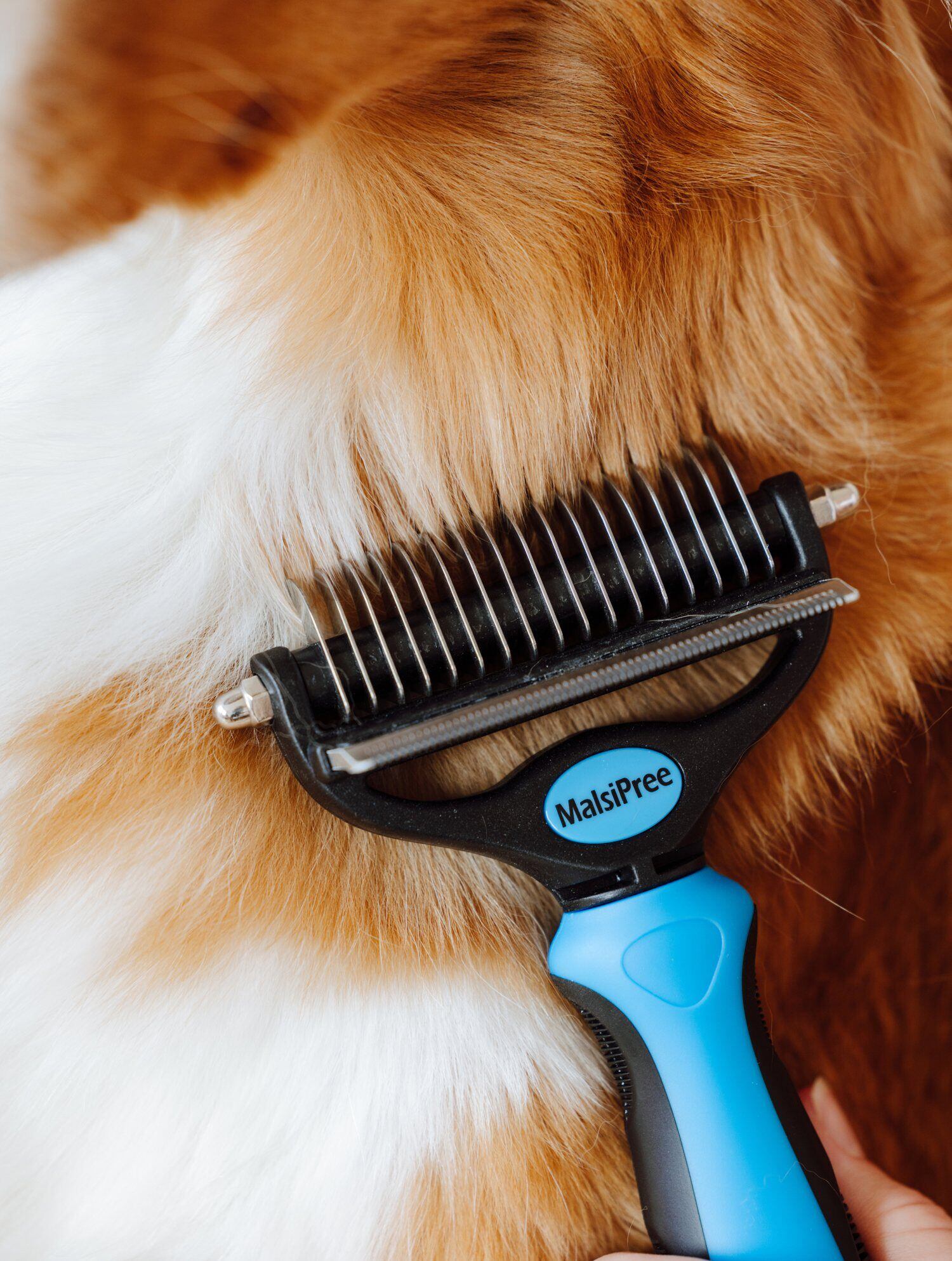 How Go North Unlocked Growth with DTC Enablement